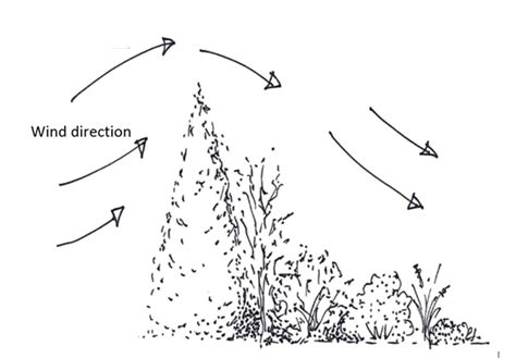 Olcreate Part 4 Planting Design Microclimates Olcreate