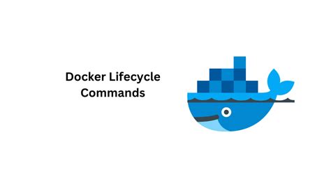 Mastering Docker Lifecycle Commands A Practical Guide With Examples