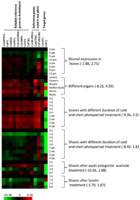 Expression Profile Of Candidate Reference Genes And Target Genes Under