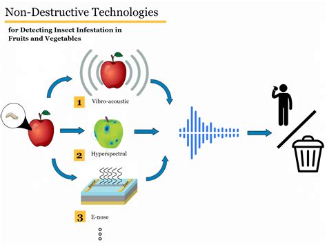 Foods Free Full Text Non Destructive Technologies For Detecting