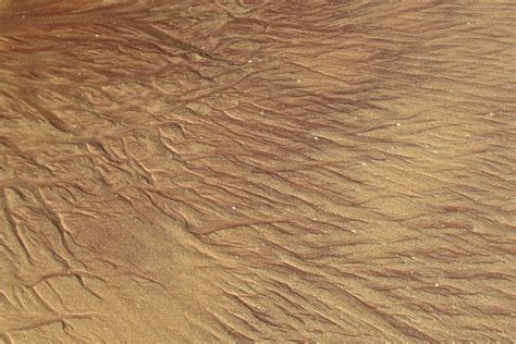 A Paradise Unearthed Discovering Hidden Gems In Sri Lanka Remember