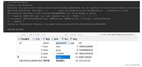 Mybatis Plus介绍与项目起步讲解mybatisplus项目 Csdn博客