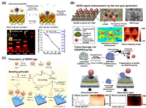 A Schematic Diagram Of Raman Enhancement Using Magnetic Modulation