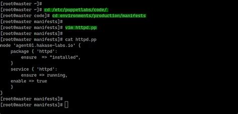 How To Setup Puppet Master And Agent On CentOS