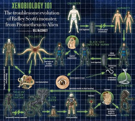 Infographic Breaks Down Xenobiology From Prometheus Through Aliens