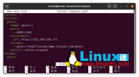 10分钟学会使用 Docker 部署 Ghost 博客 Linux迷