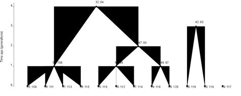 4 Pedigrees In Randomly Mating Populations Concepts In Population Genetics