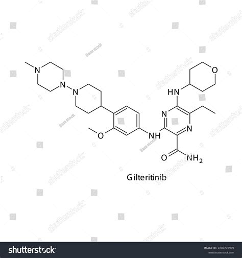 Gilteritinib Molecule Flat Skeletal Structure Tyrosine Stock Vector Royalty Free 2207270929