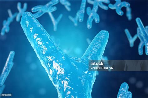 3d 그림 Xy 염색체 인간 생물학 의료 기호 유전자 치료 또는 미생물학 유전학 연구에 대 한 개념으로 알파벳 X에 대한 스톡 사진 및 기타 이미지 Istock