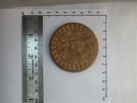 Biscuit Project Instance Segmentation Dataset By M Zaid