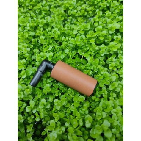 Jual Diffuser 3cm Shopee Indonesia