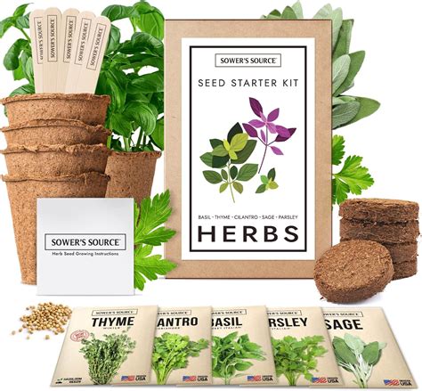 Indoor Herb Garden Starter Kit Kitchen Herb Garden