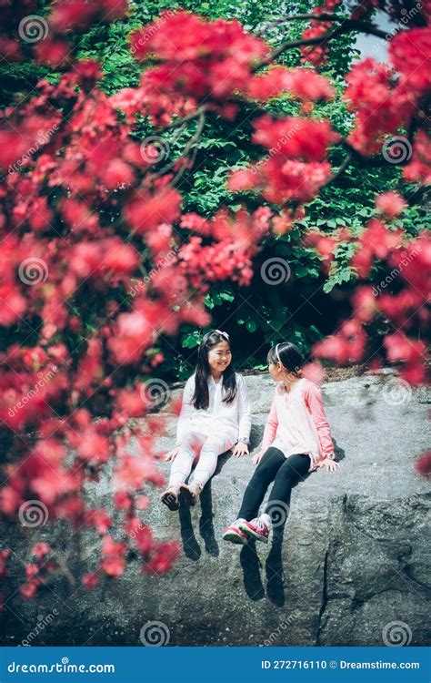 Two Young Asian Girls Sitting On A Large Rock Under Azalea Treen In A