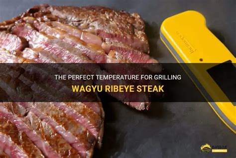 The Perfect Temperature For Grilling Wagyu Ribeye Steak Shungrill