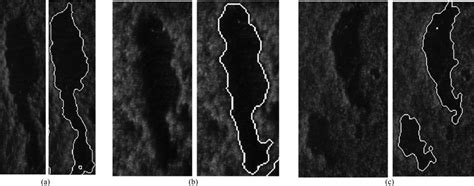 Accurately Identified Big Size Potholes Over Different Seagrass Images Download Scientific