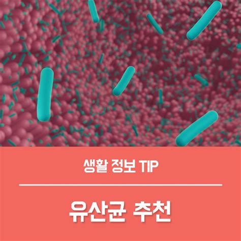 유산균 추천 기준 프로바이오틱스 유산균 역할 네이버 블로그
