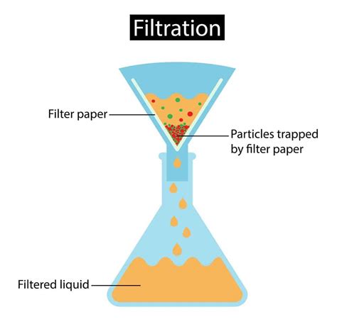 4 Types Of Passive Transport Plus Vital Facts Nayturr