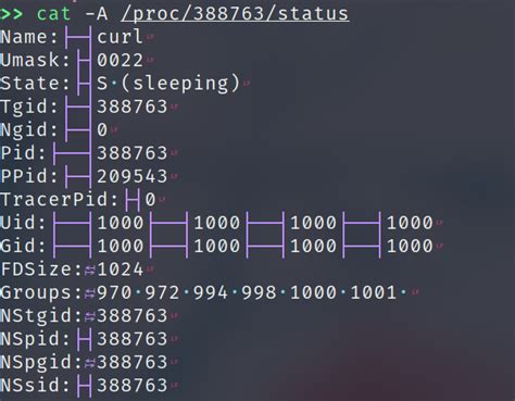 Too Many Open Files Hanaasagi Kira