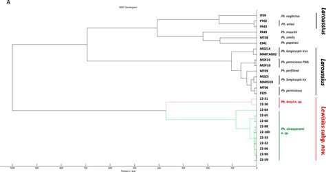 Maldi Tof Analysis Main Spectra Profile Dendrogram Using Correlation