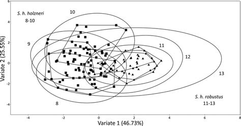 a dfa analysis of geographically adjacent pooled samples 8 9 currently