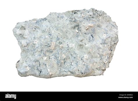 Calcarenite Fossiliferous Limestone