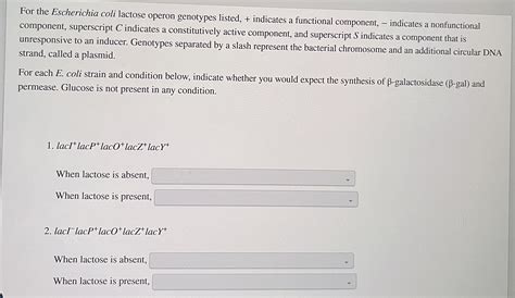 Solved For The Escherichia Coli Lactose Operon Genotypes
