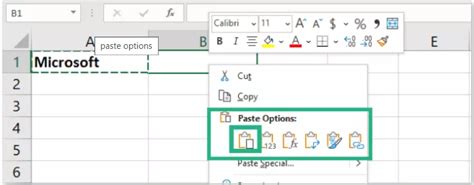 How To Duplicate Cells In Excel Earn And Excel