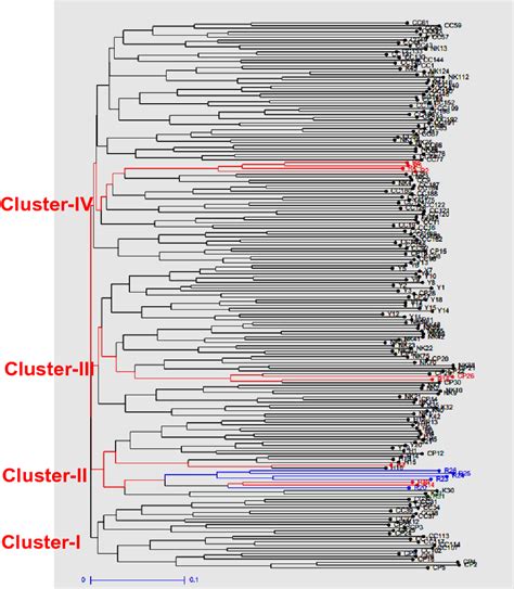 Hierarchical Clustering Based On Simple Matching Dissimilarity Matrix