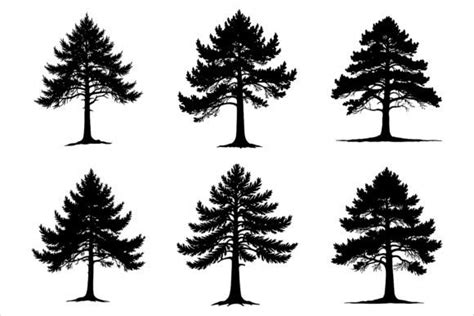 Cedar Tree Outline Vector Silhouettes Graphic By Creative Shirts · Creative Fabrica