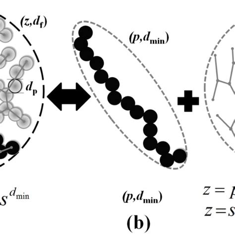 schematic representation of an aggregate structure in 2d a the