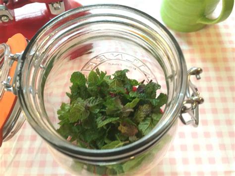 Raspberry Gin How To Make The Best Pink Gin • Craft Invaders