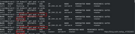 k8s volumes（一）配置管理（emptydir、hostpath、nfs） emptydir目录权限 csdn博客