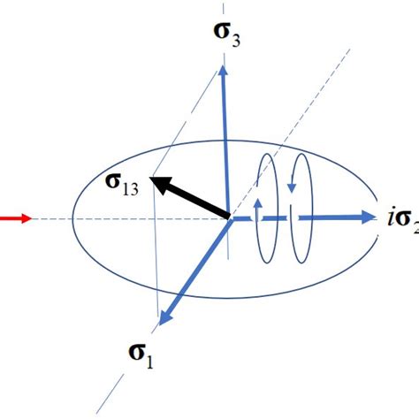 Two Properties Of Spin Its Polarization σi Perpendicular To Its