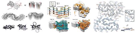 Two Molecular Models Of Aβ42 Fibrils Architecture And Atomic Model Of Download Scientific