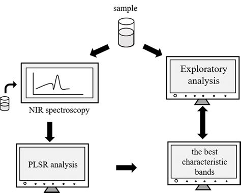 The Data Algorithm Model Diagram Of Hiv 1 Virus Detection By Near