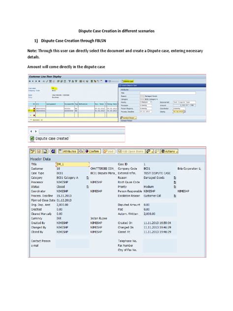 Dispute Case Creation Sap Pdf