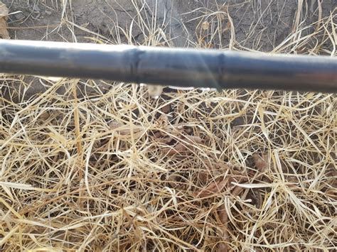 Дуслын усалгааны хоолой Вотерлайн