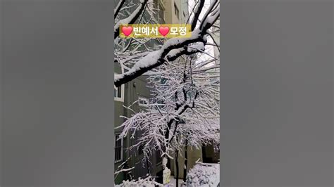 빈예서모정함박눈눈이온날지난번트로트트롯아름다운한국가요shorts Youtube