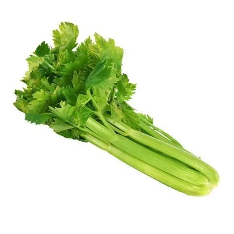 Iqf Died Celery Frozen Celery 10 10 Mm Frozen Vegetable And Frozen Diced Celery