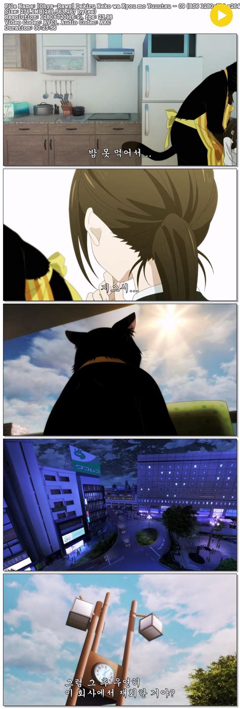 야무진 고양이는 오늘도 우울 09화