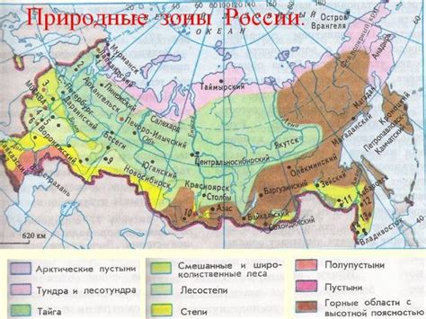 Природные зоны России | География, Зеленые картины, География для детей