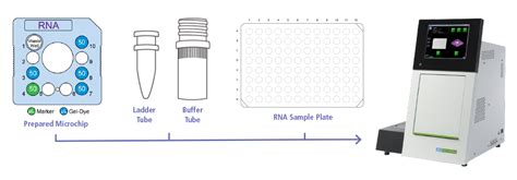Labchip Small Rna Reagent Kit Revvity