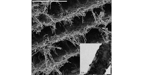 Macroporous 3d Architectures Of Self Assembled Mwcnt Surface Decorated With Pt Nanoparticles As