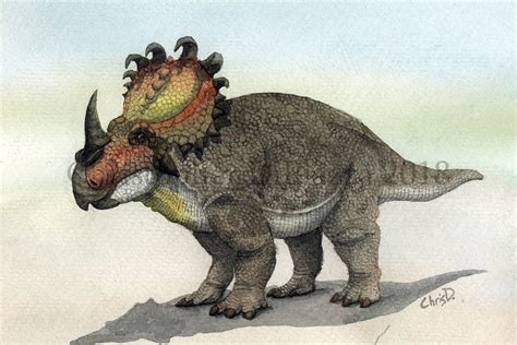 Prehistoric Beast Of The Week Sinoceratops Beast Of The Week