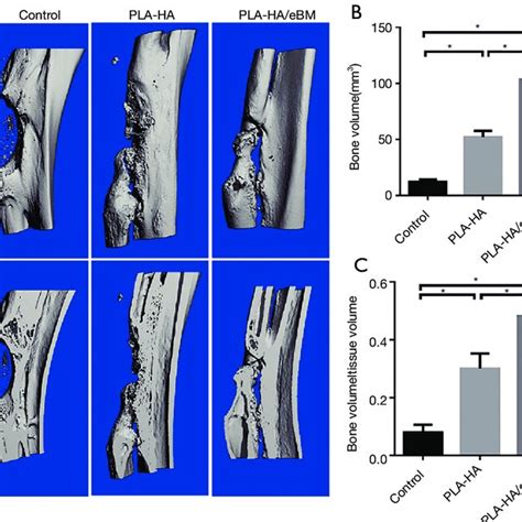 Evaluation Of Critical Sized Bone Defect Repair With He Staining A Download Scientific