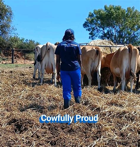 The Silent Profit Killer On Dairy Farms Miriam Mapako