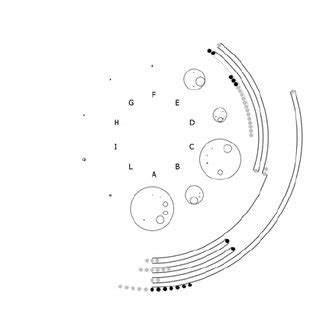 Path In The Context Of The Entire Collection Download Scientific Diagram