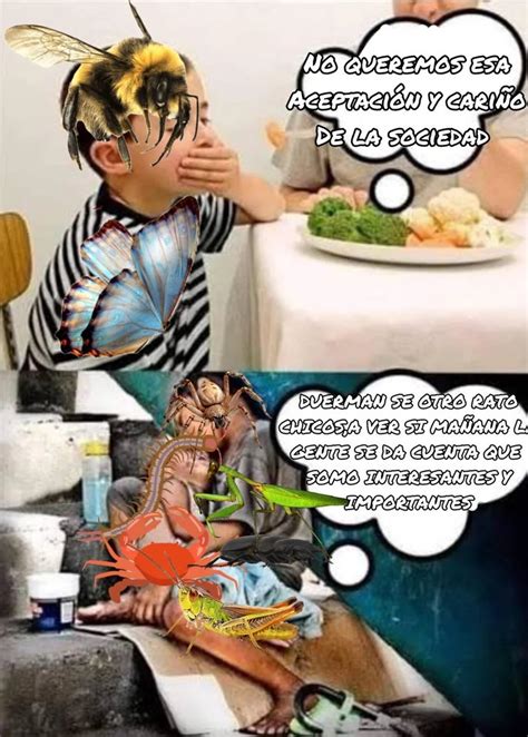 Top Memes De Abejas En Español Memedroid