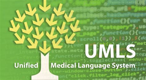 Health Data Standards And Terminologies A Tutorial