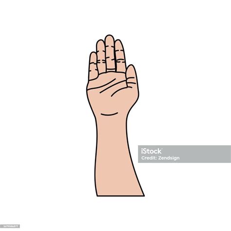 인간의 손 기호 및 제스처의 그림은 흰색 배경에 격리된 벡터입니다 5가지 개체에 대한 스톡 벡터 아트 및 기타 이미지 5가지 개체 Charitable